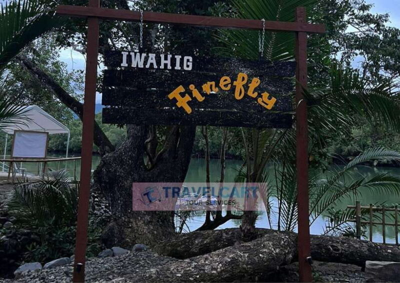 PPC IWAHIG Firefly Watching - An Evening Among Fireflies: The Overview