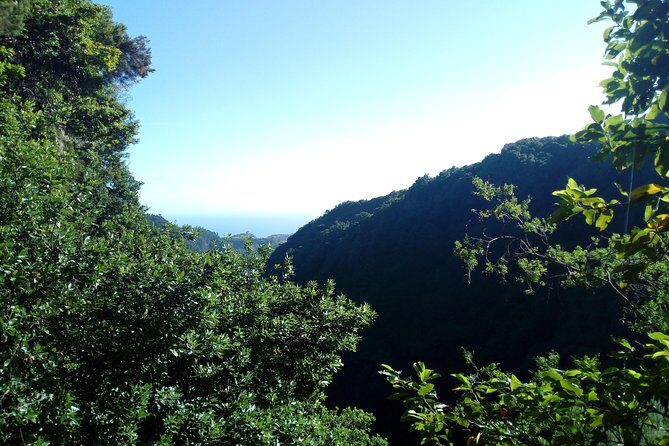 PR18 Levada do Rei with Local Guide - What to Expect on the Itinerary