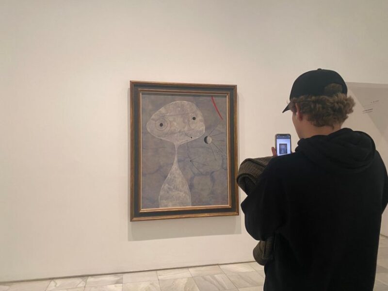 Prado Museum guided tour optional Reina Sofía Museum - Practical Tips for Visitors
