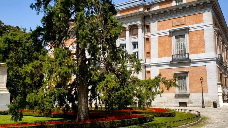 PRADO MUSEUM HIGHLIGHTS PRIVATE TOUR - Frequently Asked Questions (FAQ)