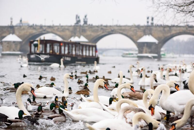 Prague: 1.5-Hour River Boat Cruise and Guided Tour - Key Points