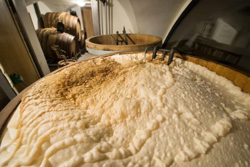 Prague: Beer Tasting and Brewery Tour - Who Will Enjoy This Experience?