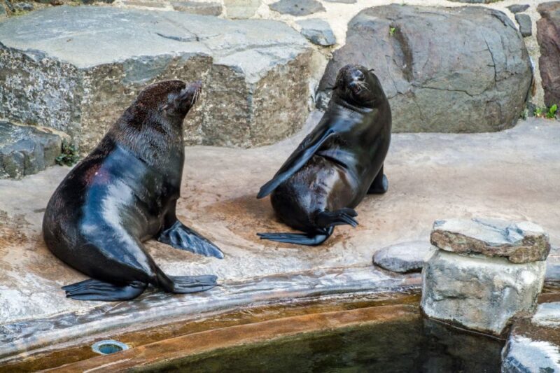 Prague: Boat Ride to the Zoo and Admission Ticket - What’s Noteworthy