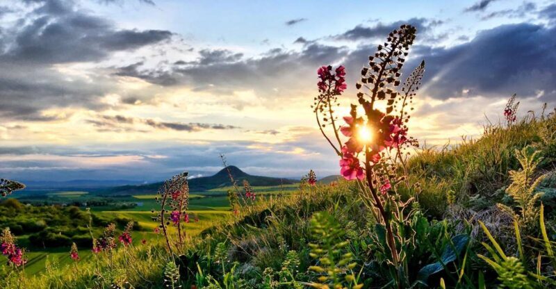 Prague: Bohemian Uplands Garnet Panning&Animal Farm 4WD Tour - Lunch with a View and Local Flavors