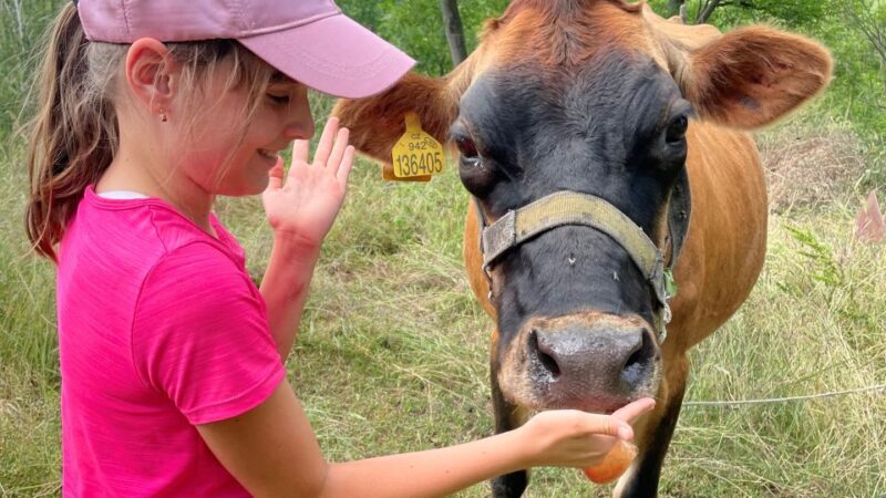 Prague: Bohemian Uplands Garnet Panning&Animal Farm 4WD Tour - Visiting Historic Sites & Overlook Points