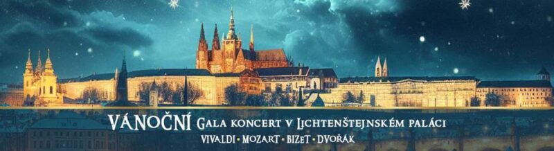 Prague: Christmas Gala Concert at Liechtenstein Palace - The Performance: Music & Musicians