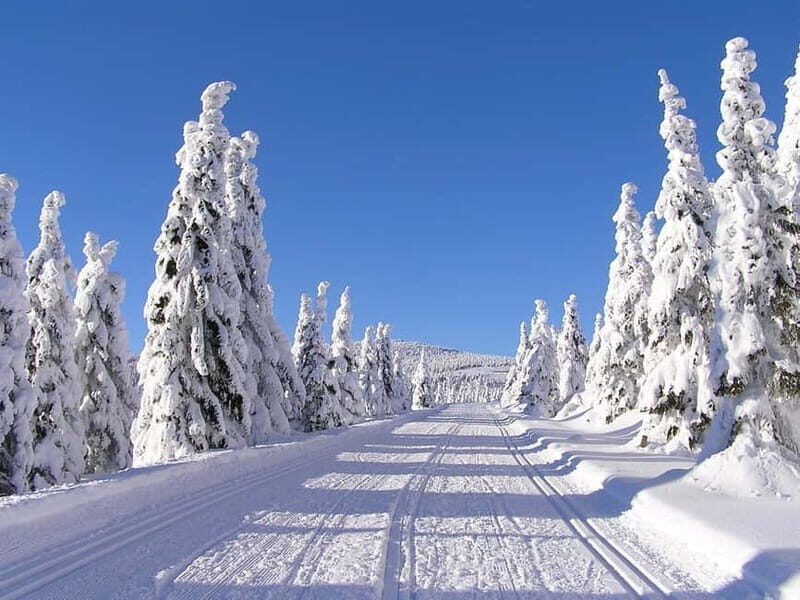 Prague: Day trip to Krkonoe Mountains - Quality of Guides and Local Insights