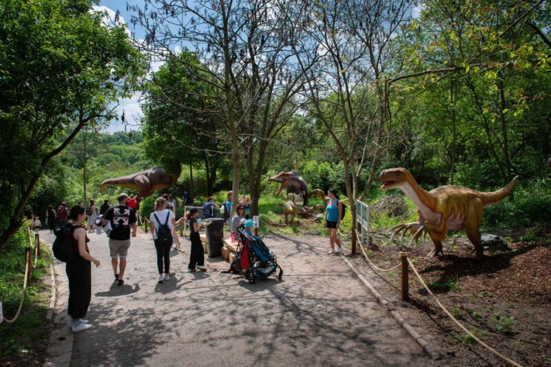 Prague DinoLive: Dinosaur Park Entry Ticket - Who Should Visit?