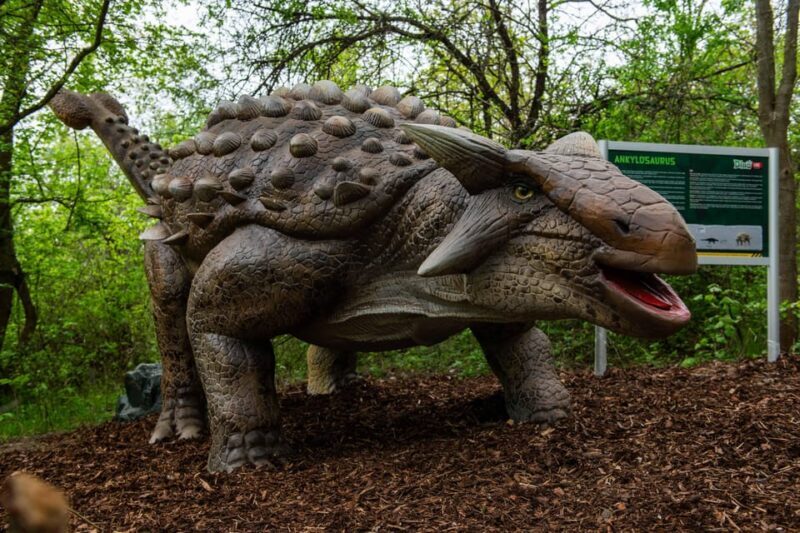 Prague DinoLive: Dinosaur Park Entry Ticket - Final Thoughts
