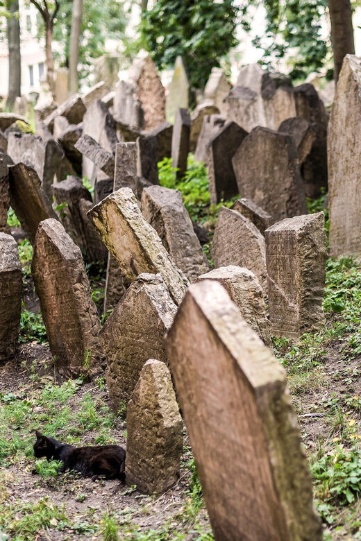 Prague: Jewish Quarter Walking Tour with Admission Tickets - What’s Included and What to Expect