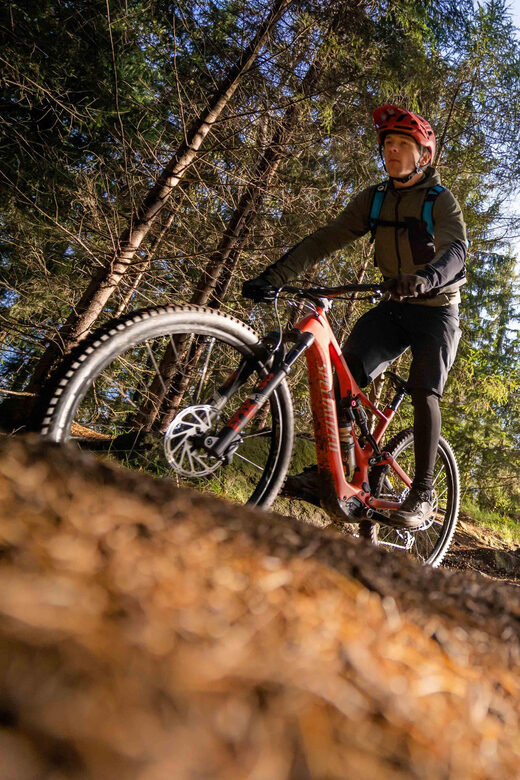Prague Mountain Biking: Blast Through The Best Singletracks - Key Points