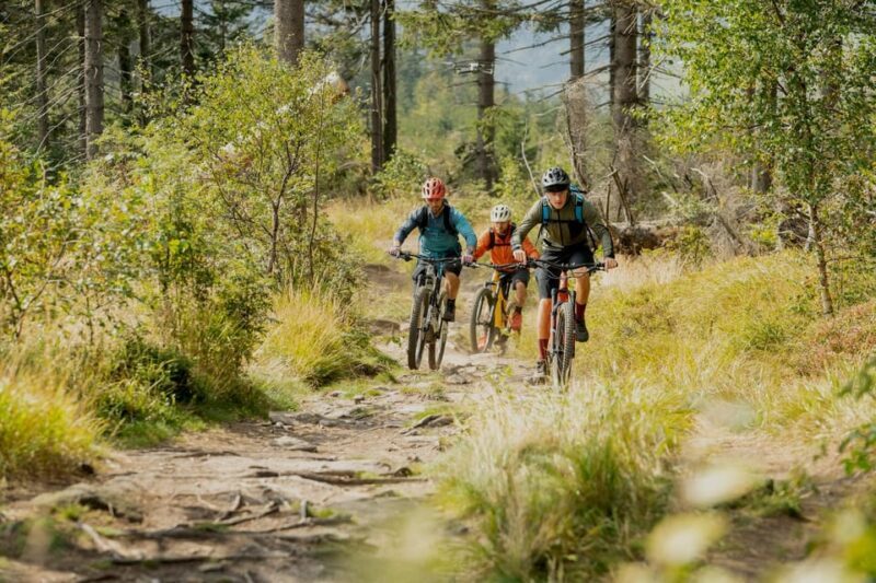Prague Mountain Biking: Blast Through The Best Singletracks - Summary: Why This Tour Is a Great Pick