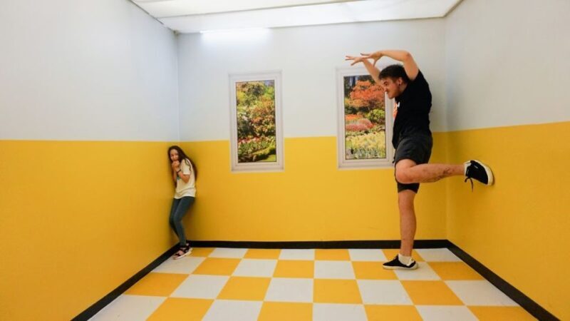 Prague: Museum of Senses Admission Ticket - What to Expect at the Museum of Senses