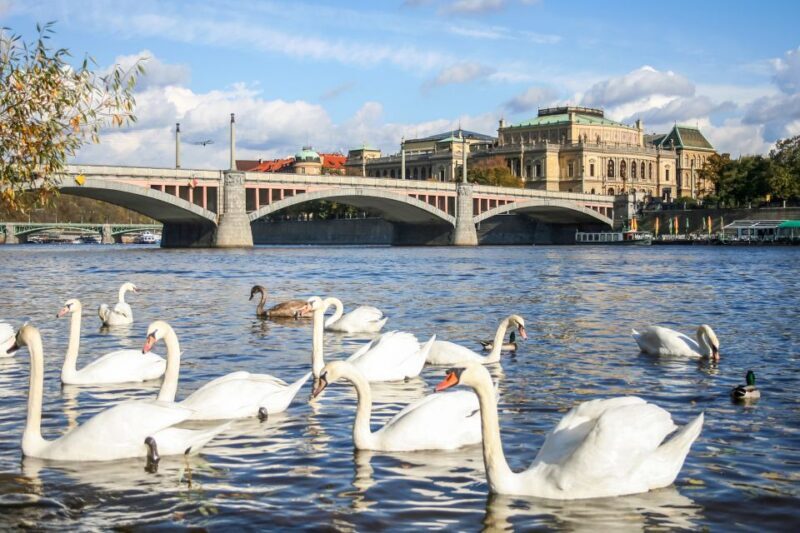 Prague: Panoramic Vltava River Cruise - Who Will Love This Experience?