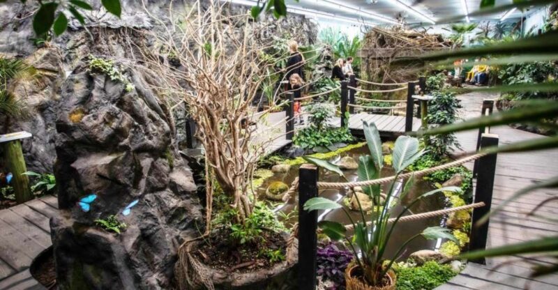 Prague: Papilonia Butterfly House - An Inviting Peek into a World of Wings