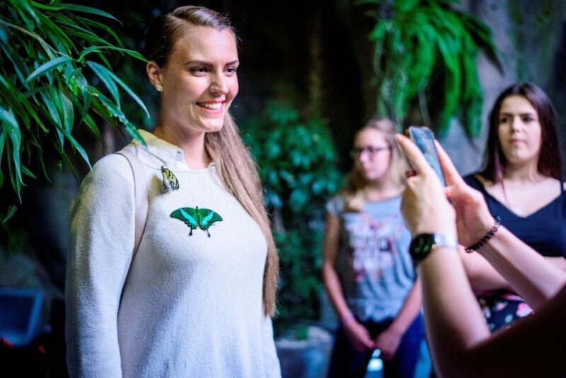 Prague: Papilonia Butterfly House - Key Points