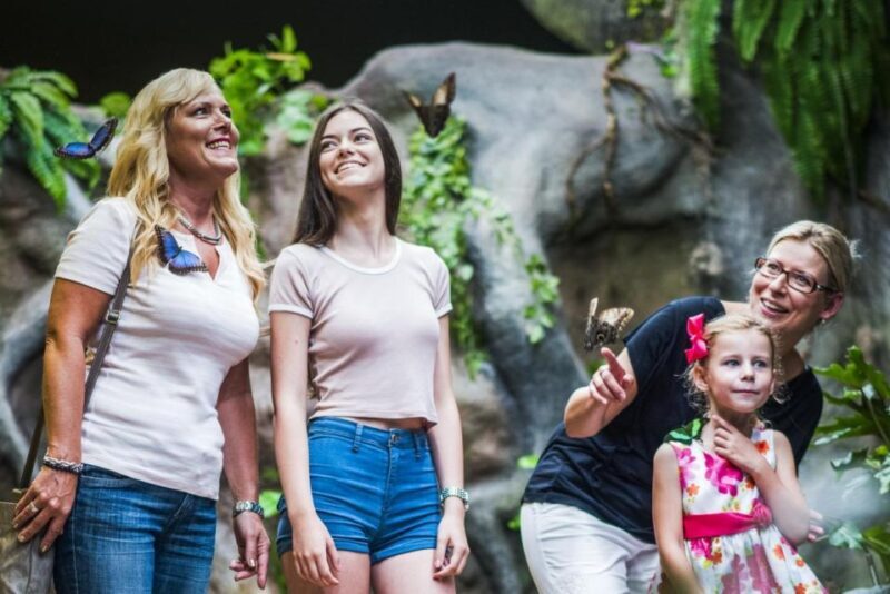 Prague: Papilonia Butterfly House - Who Will Enjoy This Experience?