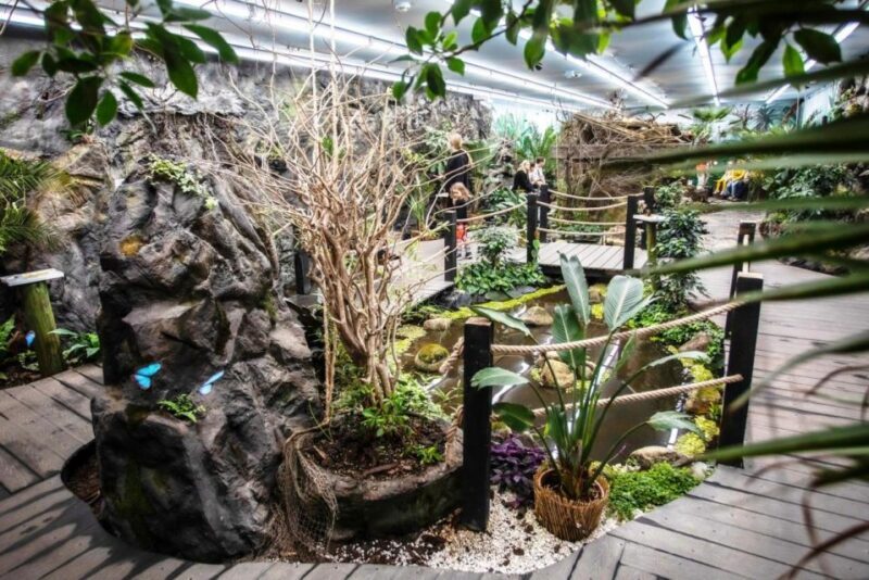 Prague: Papilonia Butterfly House - The Sum Up: Worth Visiting for a Touch of Tropical Calm