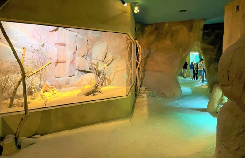 Prague: Prague Zoo Audio Guide with E-Ticket - The Value of the Experience