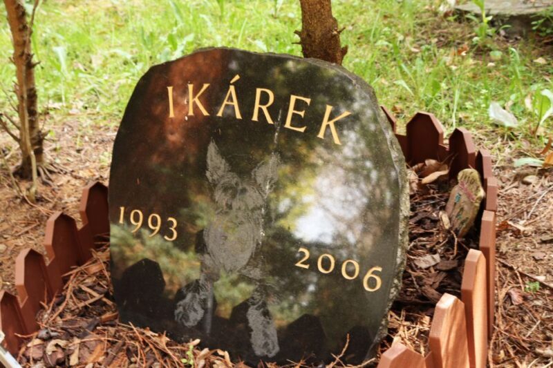 Prague: Psychiatric Hospital and Abandoned Cemetery Tour - FAQ