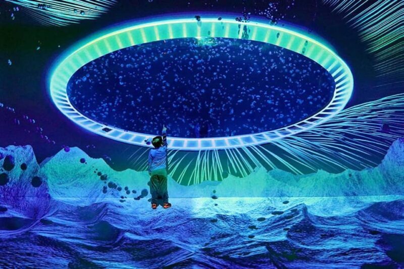 Prague: The World Of Jellyfish Entry Ticket w/ Drink - Who Will Love This Experience?