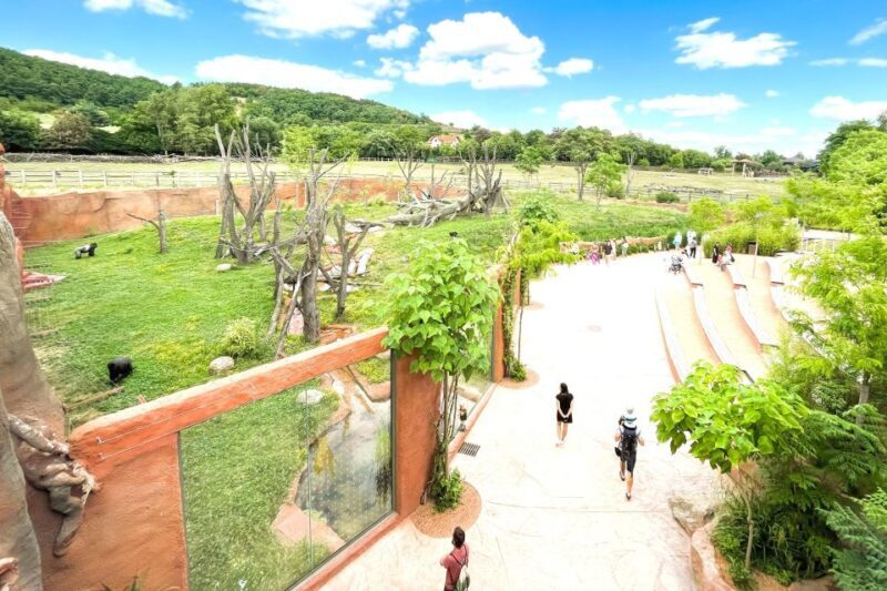 Prague Zoo Online Audio Guide (No ticket) - Prague Zoo Online Audio Guide (No Ticket): A Practical Review