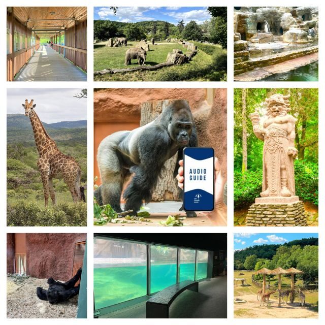Prague Zoo Online Audio Guide (No ticket) - Key Points