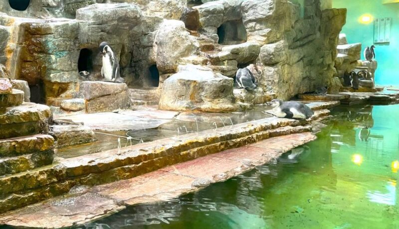 Prague Zoo Online Audio Guide (No ticket) - Who Will Love This Experience?