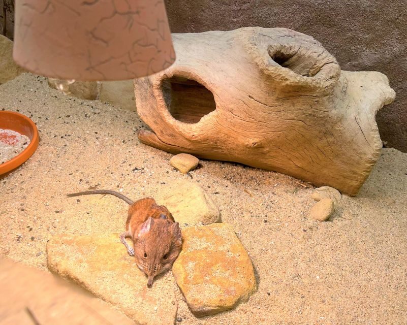 Prague Zoo Online Audio Guide (No ticket) - The Sum Up: Who Should Consider This Tour?