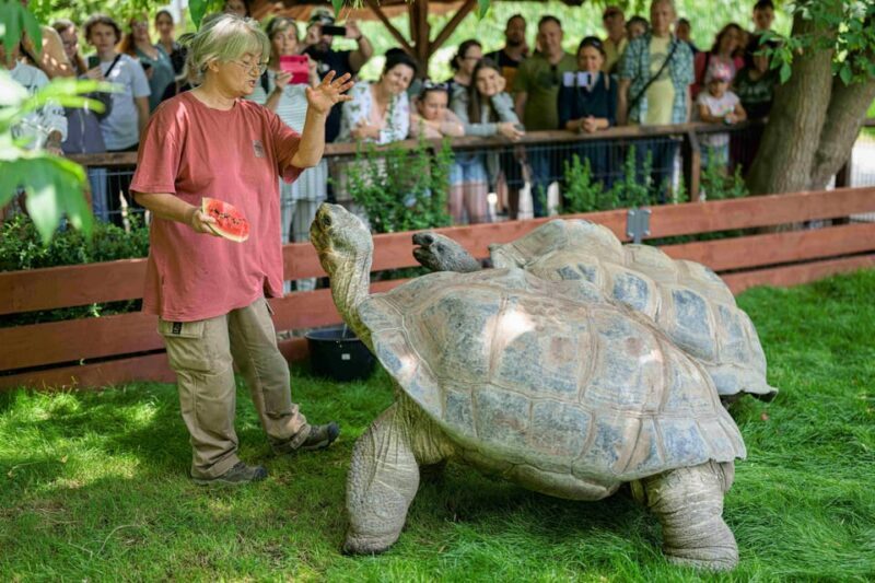 Prague Zoo: Skip-the-Line Entry Ticket - Key Points
