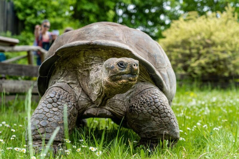 Prague Zoo: Skip-the-Line Entry Ticket - Practical Tips for Visiting