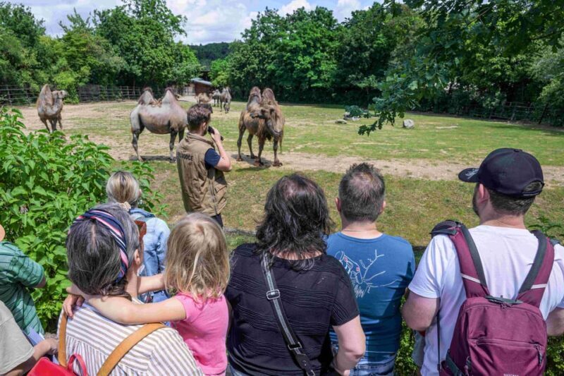 Prague Zoo: Skip-the-Line Entry Ticket - What the Reviews Say