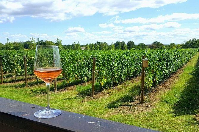 Prahova Valley Wine Tour from Bucharest Small Group - Authentic Romanian Wine in the Prahova Valley: A Full Review