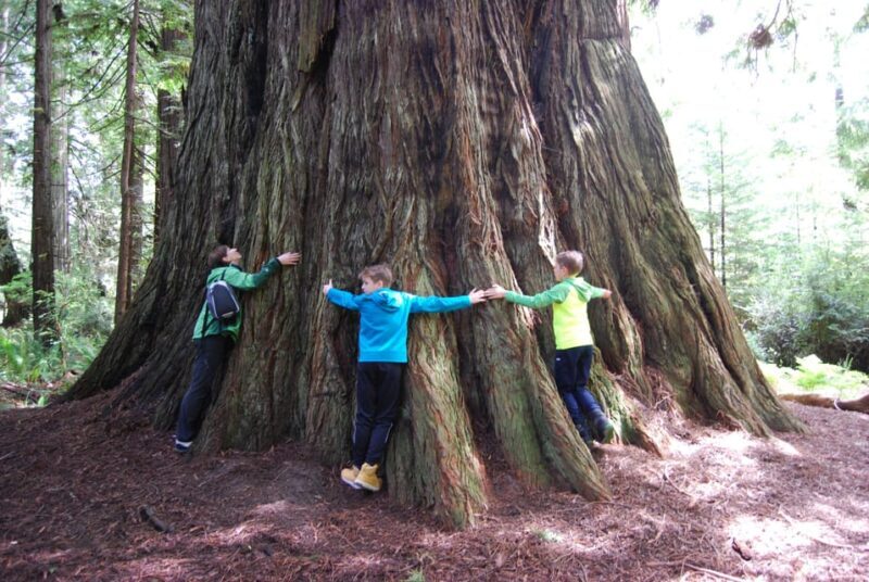 Prairie Creek State Park: Redwood Forest Hiking Tour - FAQ