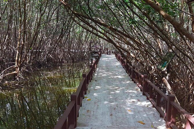 Pranburi Forest Park and Khao Daeng Join Tour from Hua Hin - In-Depth Itinerary Breakdown: What to Expect