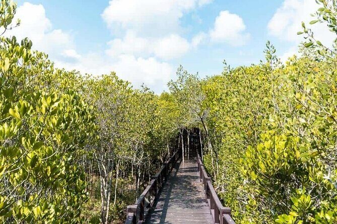 Pranburi Forest Park and Khao Daeng Join Tour from Hua Hin - What’s Included, What’s Not, and How That Affects Your Experience