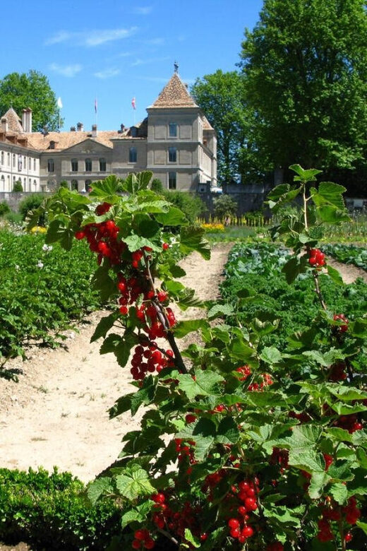 Prangins, Lake Geneva: Château de Prangins Entry Ticket - FAQ