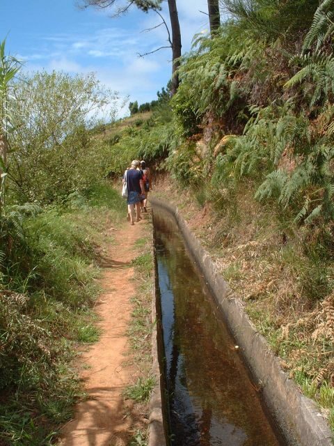 Prazeres: Full-Day Nature Walk - An In-Depth Look at the Experience