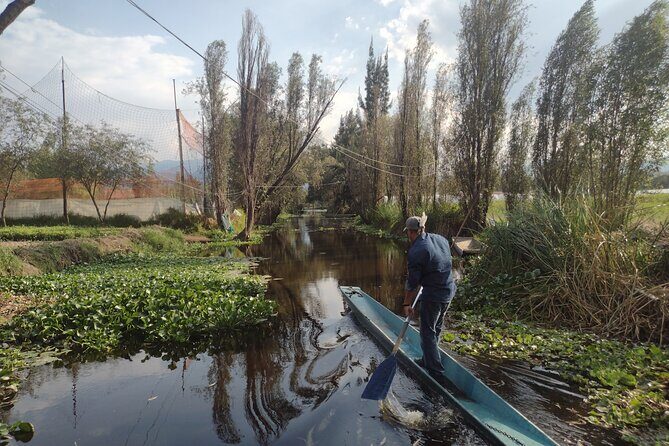 Pre-Hispanic Xochimilco and ajolotario. Private Ecotour. - The Xochimilco Canals: A Serene Voyage
