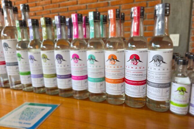 Pre-Hispanic Zapotec Heritage Guided Tour in Oaxaca - Key Points