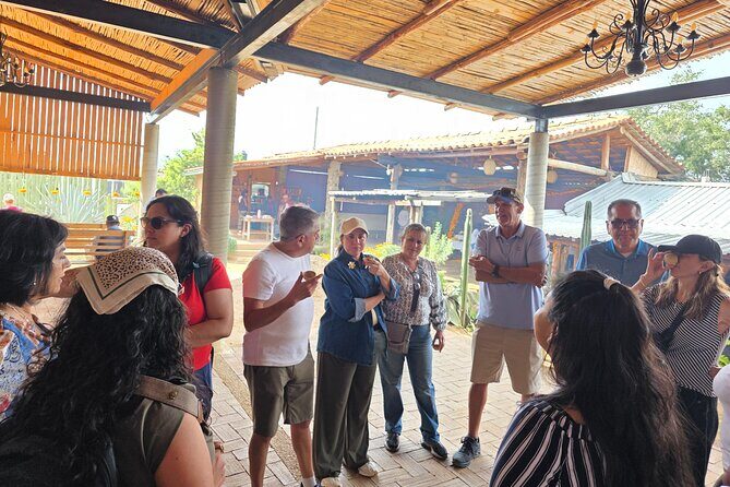 Pre-Hispanic Zapotec Heritage Guided Tour in Oaxaca - Practical Tips for Participants