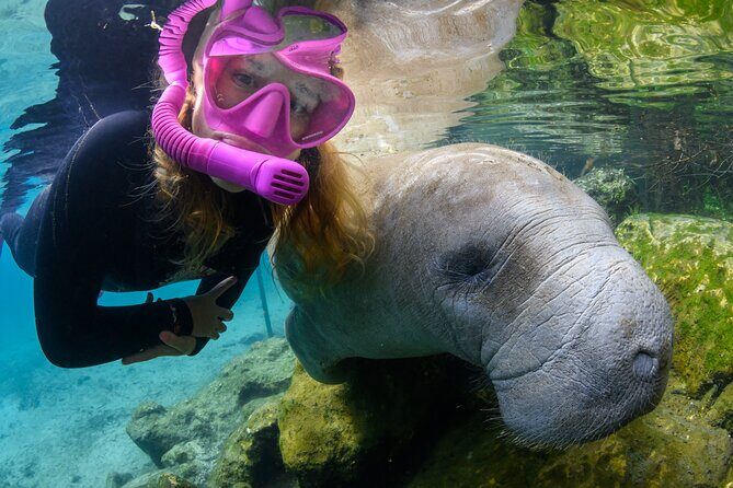 Pre-Season Special Manatee Snorkel Tour in Crystal River - The Itinerary: What to Expect from Start to Finish