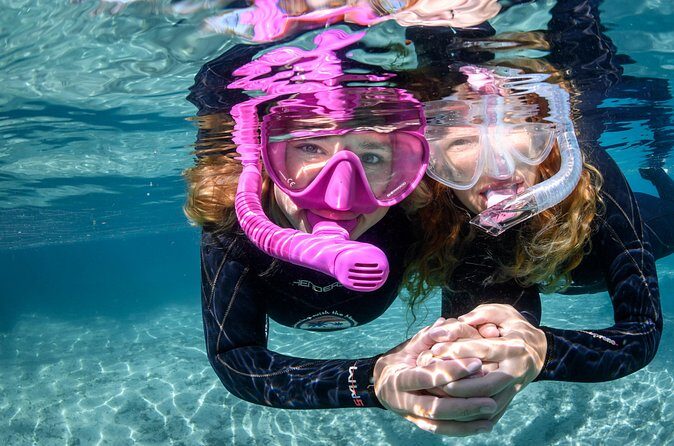Pre-Season Special Manatee Snorkel Tour in Crystal River - Authenticity and Wildlife Conservation