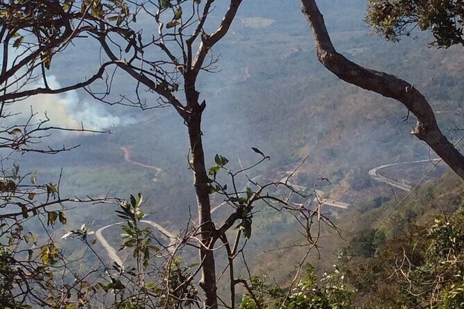 Preah Vihea Temple Tour by Car - Who Will Love This Tour?