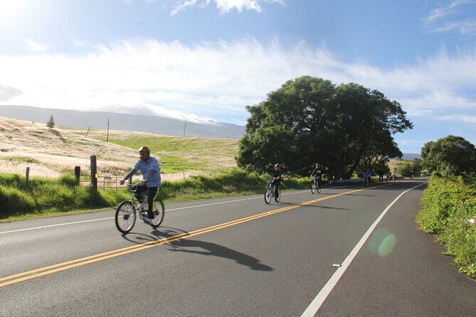 Predawn-Morning Haleakala Bike Tour 6,500 to Sea Level - What Reviewers Are Saying