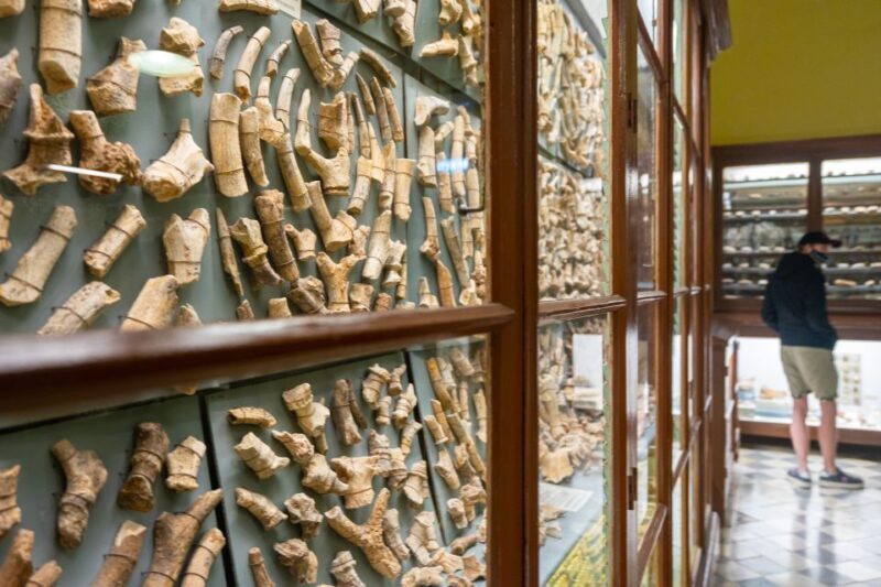 Prehistoric Temples of Malta Tour - A Practical Look at the Tour Experience