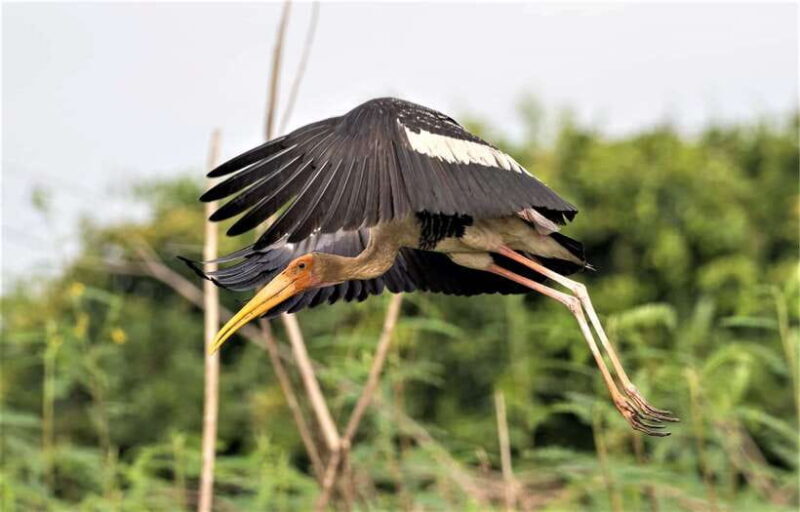 Prek Toal Birds Sanctuary & floating Village Private Tour - FAQ