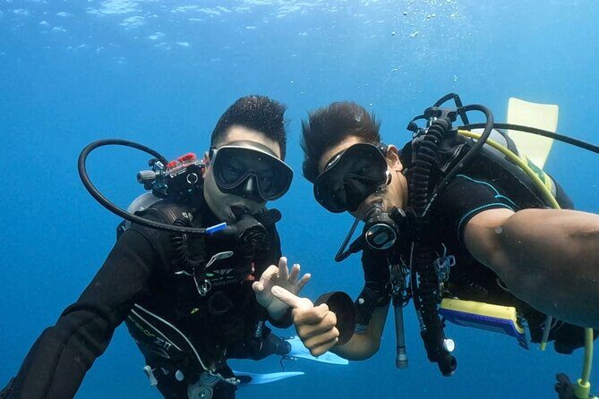 Premier Dive Spots Experience in Kushimoto - Who Should Consider This Tour?