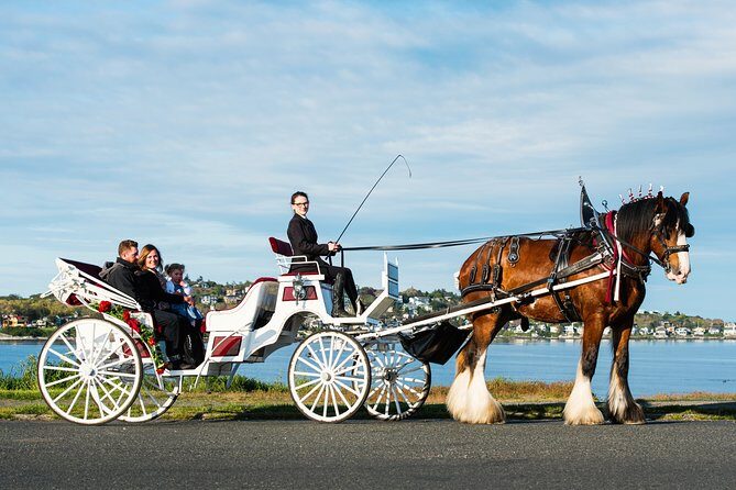 Premier Horse-Drawn Carriage Experience in Victoria - Who Should Consider This Tour?