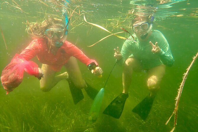 Premier Scalloping Adventure on Florida's Nature Coast - Authentic and Fun